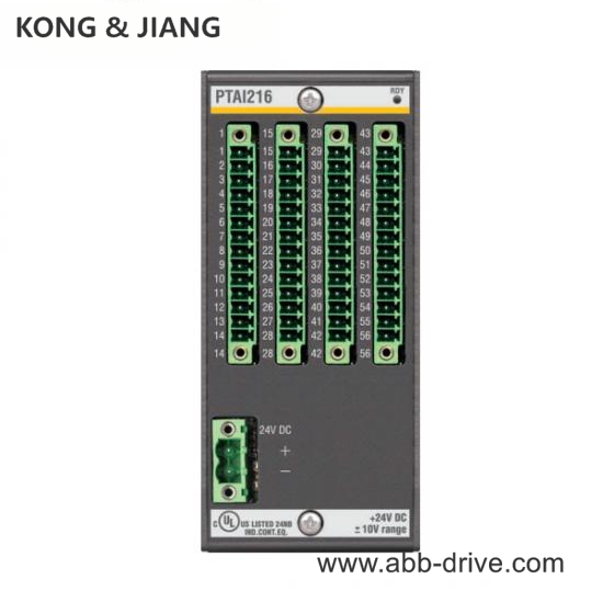 Bachmann PTAI216 Temperature Input Module - Precise Data Acquisition, Industry-grade Performance ...