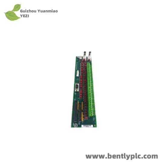 General Electric DS200TBQAG1A1 - Advanced RST Terminal Board ...