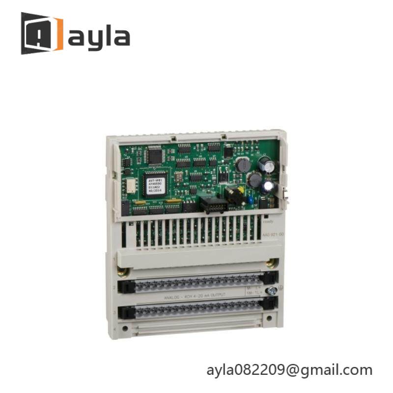 Schneider Electric 170AAO92100 Analog Output Module for Advanced ...