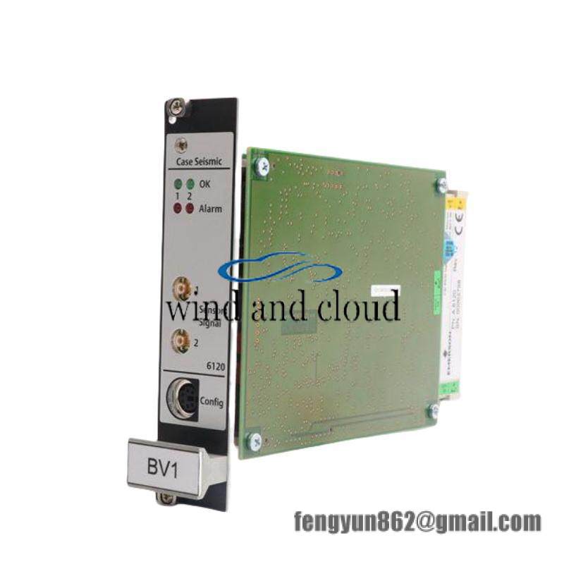 EMERSON A6120 Vibration Monitoring Module, Precision for Industrial ...