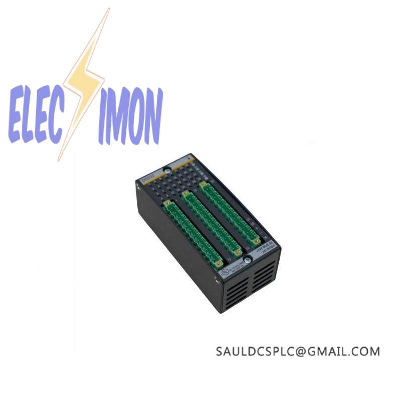 BACHMANN DI0232 - High-Performance Digital Input/Output Module - module ...