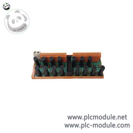 Honeywell FS-TSGAS-1624: Industrial Digital Input Field Termination ...